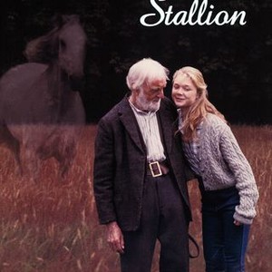 The Princess Stallion - Rotten Tomatoes