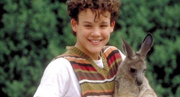 Joey Kenguru Film Kenguru Free Stock Photos, Images, And Pictures Of