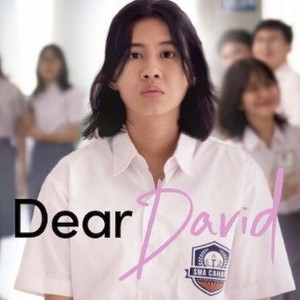 Dear David - Rotten Tomatoes
