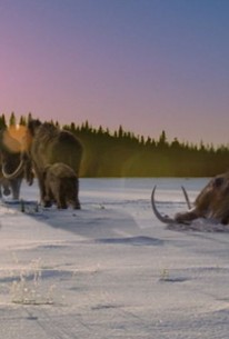 Walking with Beasts: Season 1, Episode 6 | Rotten Tomatoes