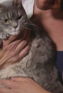 Embarrassing Pets: Season 1, Episode 9 - Rotten Tomatoes