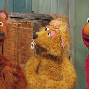 Curly Bear Sesame Street
