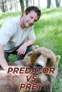 Predator vs. Prey | Rotten Tomatoes
