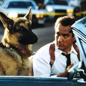 K-9 - Rotten Tomatoes