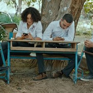 Alam - Rotten Tomatoes