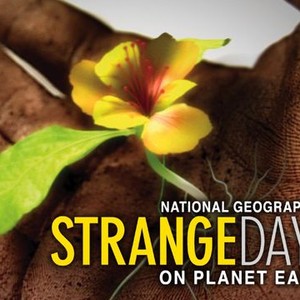 National Geographic's Strange Days on Planet Earth - Rotten Tomatoes