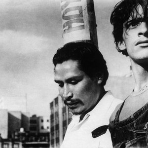 Roberto Cobo - Rotten Tomatoes