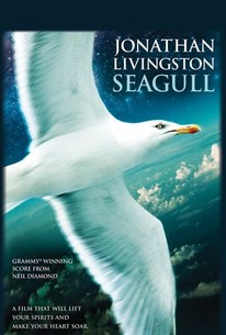 Jonathan Livingston Seagull (1973) - Rotten Tomatoes