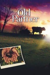 Old Partner | Rotten Tomatoes