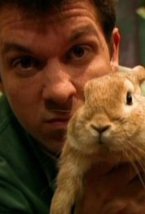 Zoboomafoo: Season 1, Episode 22 - Rotten Tomatoes