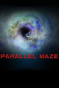 Parallel Maze | Rotten Tomatoes