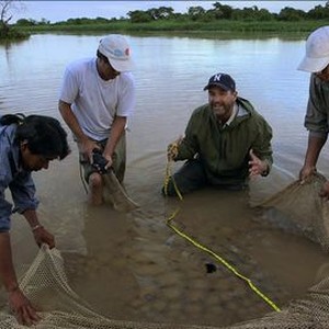 Zeb Hogan - Rotten Tomatoes