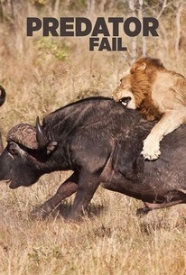 Predator Fail: Season 1 | Rotten Tomatoes