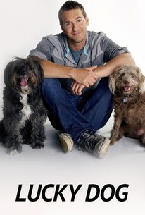 Lucky Dog - Rotten Tomatoes