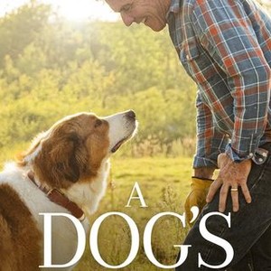 A Dog's Journey - Rotten Tomatoes
