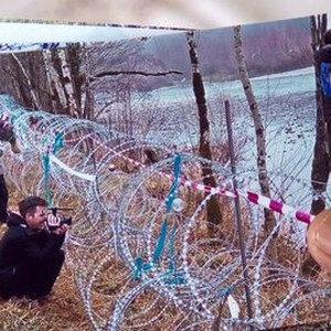 The Wire - Rotten Tomatoes