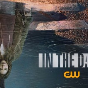 In the Dark - Rotten Tomatoes