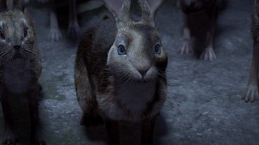 watership down netflix