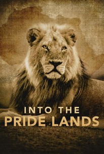 Into the Pride Lands | Rotten Tomatoes