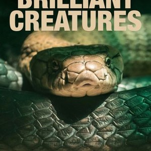 Brilliant Creatures - Rotten Tomatoes