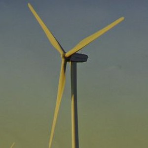 Cape Spin: An American Power Struggle - Rotten Tomatoes