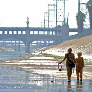 Finding Joe - Rotten Tomatoes