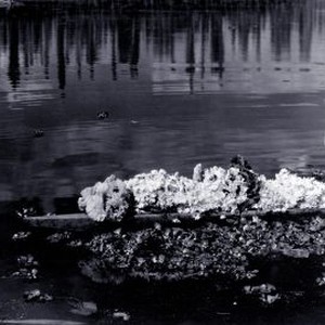 Maria Candelaria - Rotten Tomatoes