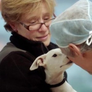 The Dog Doc - Rotten Tomatoes