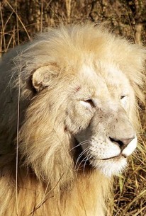 Ingenious Animals: Season 1, Episode 3 | Rotten Tomatoes