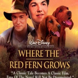 Where the Red Fern Grows (2004) - Rotten Tomatoes