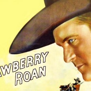Strawberry Roan - Rotten Tomatoes