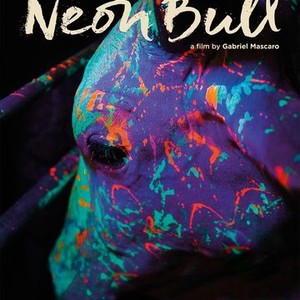 Neon Bull - Rotten Tomatoes