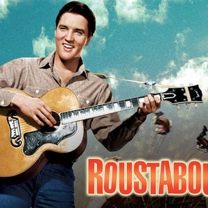 Roustabout - Rotten Tomatoes