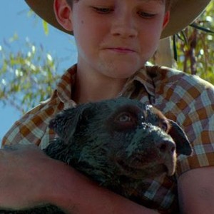 Red Dog: True Blue - Rotten Tomatoes