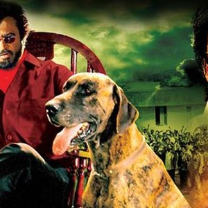 Baasha - Rotten Tomatoes