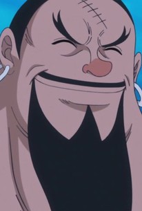One Piece: Season 19, Episode 8 | Rotten Tomatoes