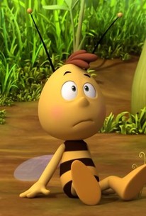Maya the Bee: Season 1, Episode 75 | Rotten Tomatoes