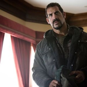 Matthew Willig - Rotten Tomatoes