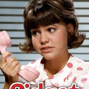 Gidget - Rotten Tomatoes