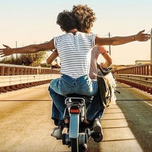 Fireworks - Rotten Tomatoes