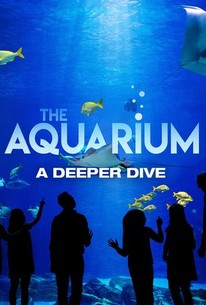 The Aquarium: A Deeper Dive | Rotten Tomatoes