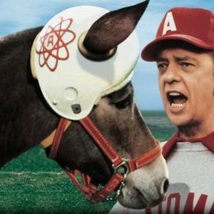 Gus - Rotten Tomatoes