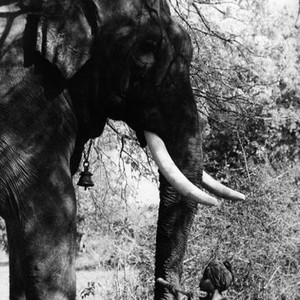 Sabu - Rotten Tomatoes