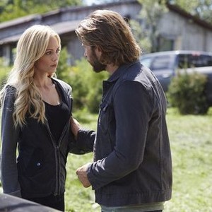 Bitten - Rotten Tomatoes