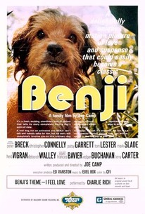Benji | Rotten Tomatoes