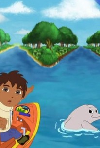 Go, Diego, Go!: Season 2, Episode 2 | Rotten Tomatoes