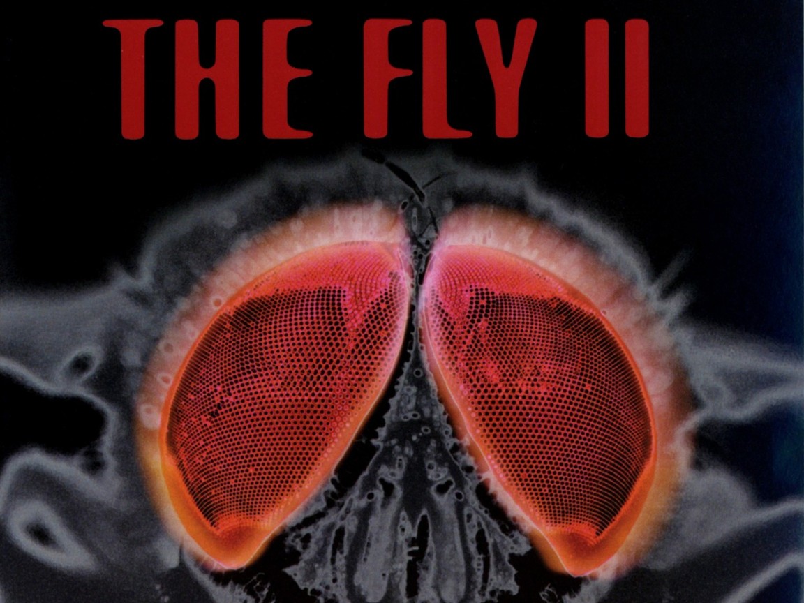 The Fly II Pictures - Rotten Tomatoes