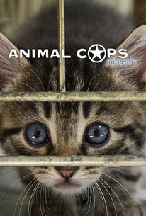 Animal Cops: Houston: Season 18, Episode 1 | Rotten Tomatoes