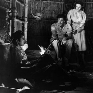 Robert Cabal - Rotten Tomatoes