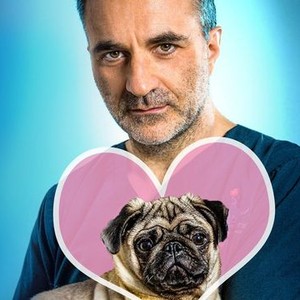 The Supervet: Noel Fitzpatrick - Rotten Tomatoes